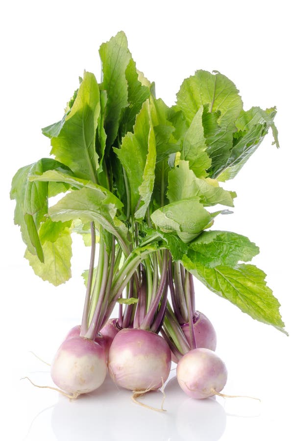 Mini rapen stock foto. Image of raap, horizontaal, eten - 24516664