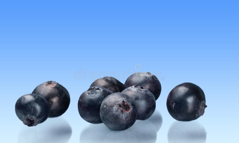 Bosbes stock afbeelding. Image of vrucht, gezond, organisch - 112136111