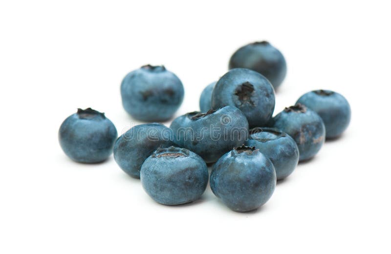 Bosbes stock foto. Image of rijp, nagerecht, voordelig - 12653662