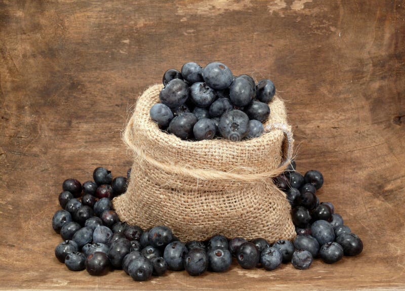 Bosbessen stock foto. Image of dopheide, blauw, bosbes - 10580910