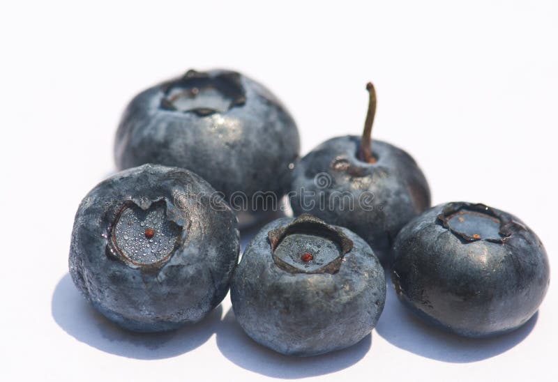 Blauwe bessen stock foto. Image of heerlijk, mollig, organisch - 15544694