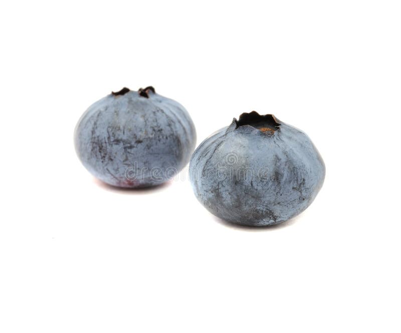 Bosbessen stock afbeelding. Image of vers, summer, dessert - 16917301