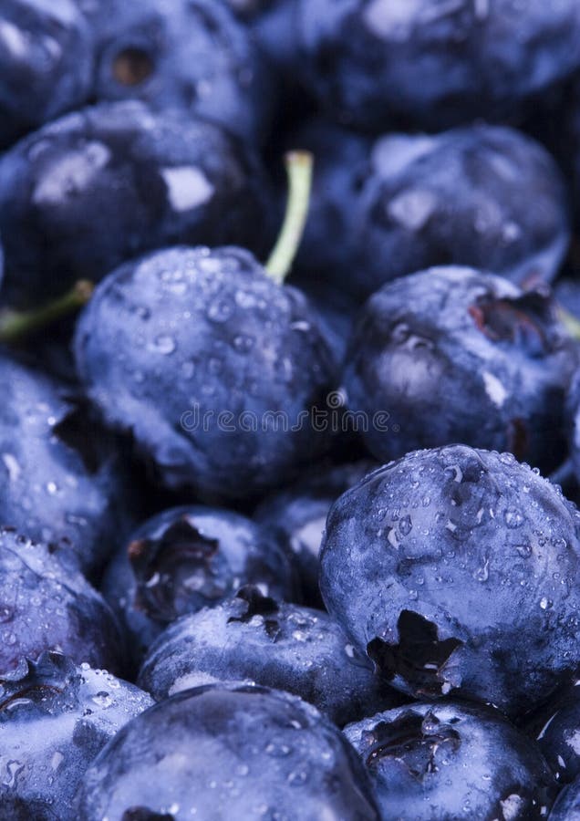 Bosbessen stock foto. Image of macro, kubus, achtergrond - 1991166