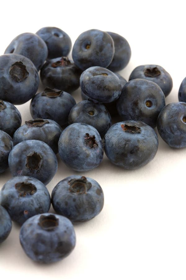 Bosbessen stock afbeelding. Image of blauw, kleurrijk - 3161841