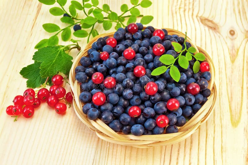 Bosbessen Met Rode Aalbessen Op De Raad Stock Foto - Image of groen ...