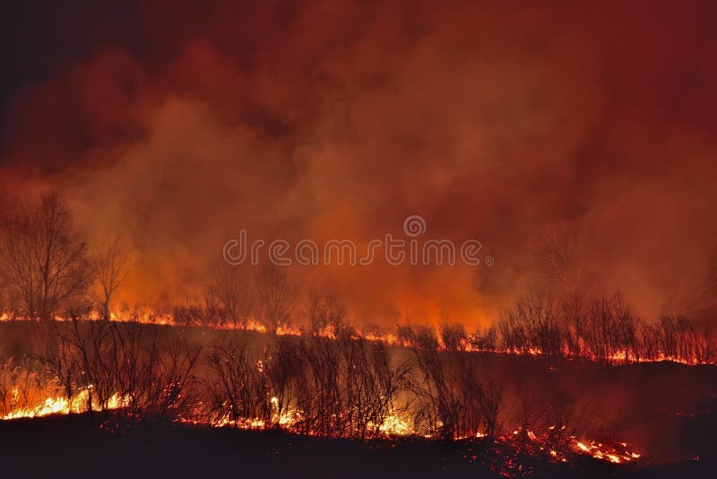 Bosbrand 10 stock afbeelding. Image of conclusie, zwart - 145810493