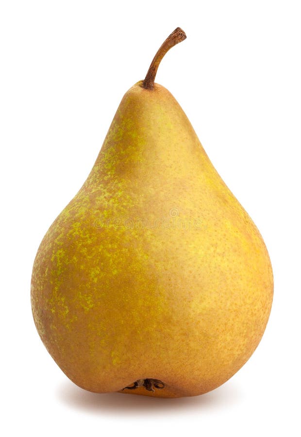 Bosc pear stock photo. Image of cutout, stem, side, pear - 188160084