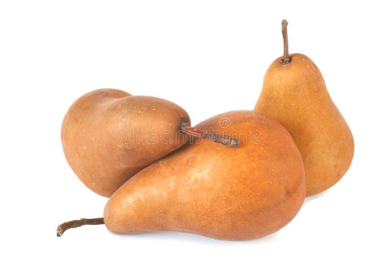 Bosc Pears stock image. Image of fruit, market, pear, nutritious - 530815