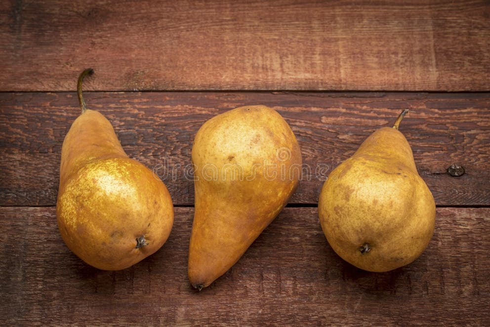Bosc pears on rustic wood stock photo. Image of weathered - 78889190