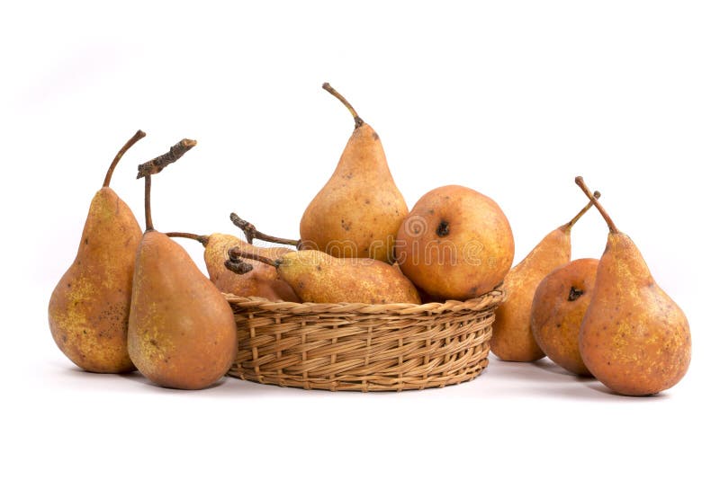 Bosc Pears varieties stock photo. Image of life, bosc - 79406766