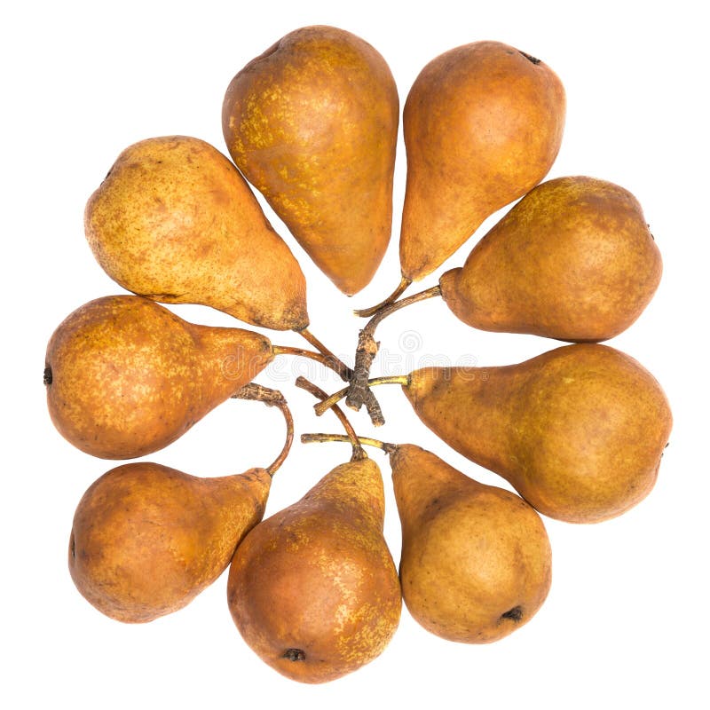Bosc Pears Varieties Stock Photos - Free & Royalty-Free Stock Photos ...