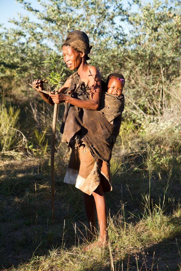 De Bosjesmannen Van Botswana Redactionele Stock Foto - Image of ...
