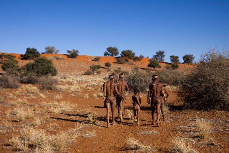 Bosjesmannen redactionele fotografie. Image of cultureel - 33788442