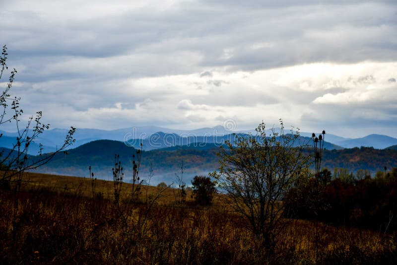 Bosque brumoso foto de archivo. Imagen de cubo, nubes - 103777420