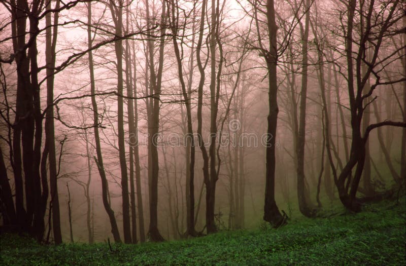 Brumoso Fotos De Stock - Descarga 223,844 Fotos Libres de Derechos