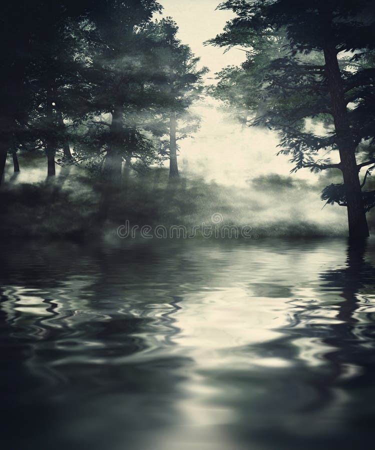 Bosque brumoso del pino imagen de archivo. Imagen de travieso - 126071627