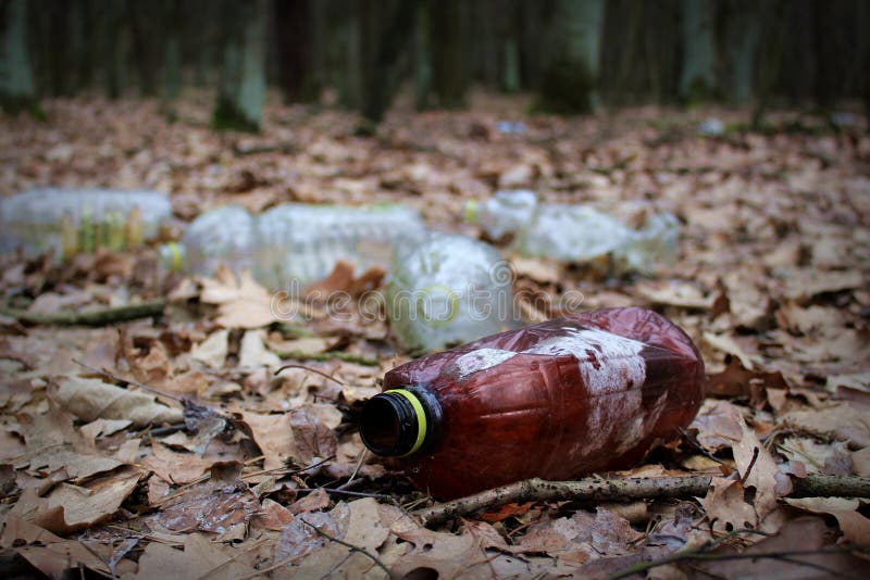 Bosque contaminado imagen de archivo. Imagen de basura - 88287635