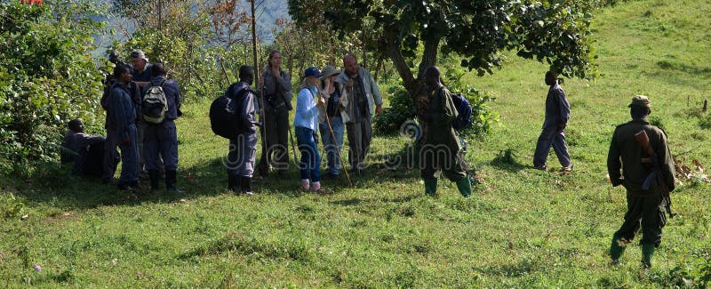 Bosque de Bwindi. imagen de archivo editorial. Imagen de naturalice ...