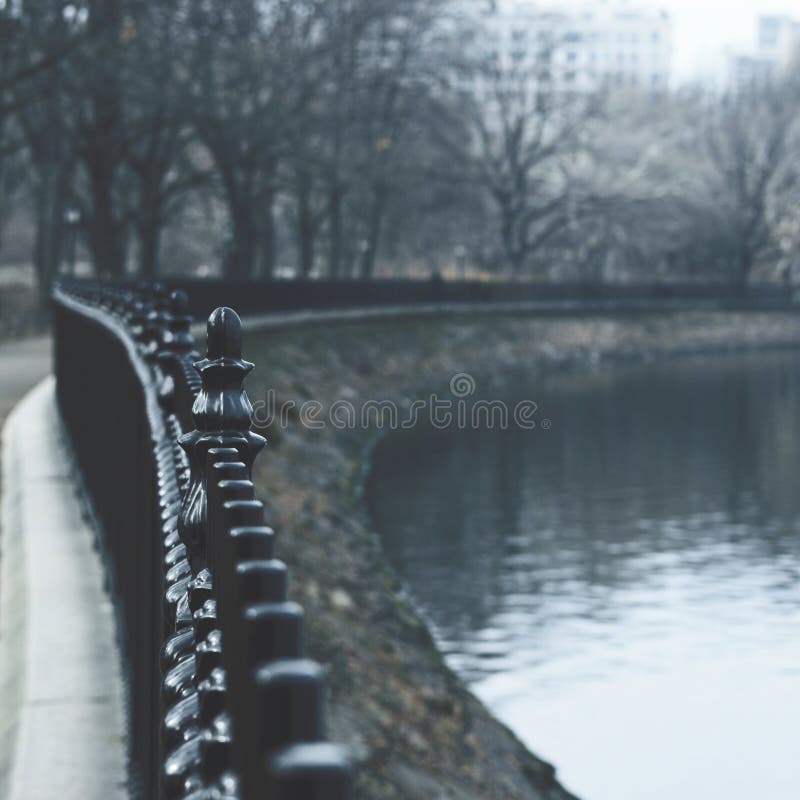 Bosque de Nueva York imagen de archivo. Imagen de bosque - 110110273