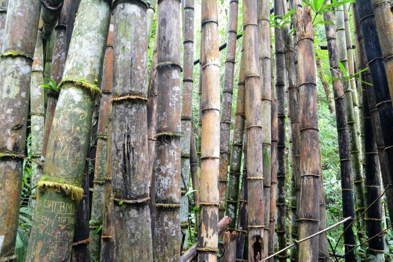 Degradación Fotos De Stock - Download 5,730 Fotos Libres de Derechos