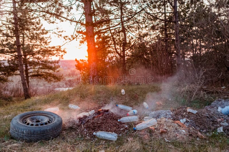 Bosque lleno de basura foto editorial. Imagen de fondo - 156971906