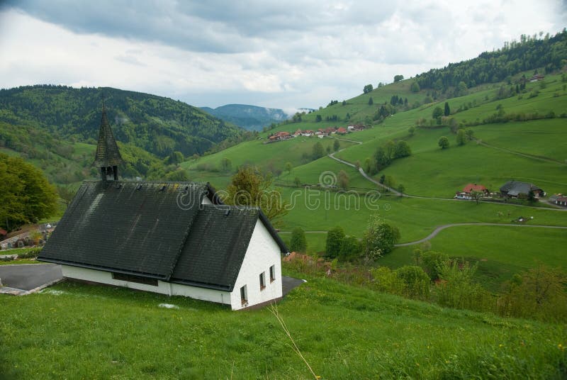 Bosque negro - imagen de archivo. Imagen de rural, bosque - 25416539