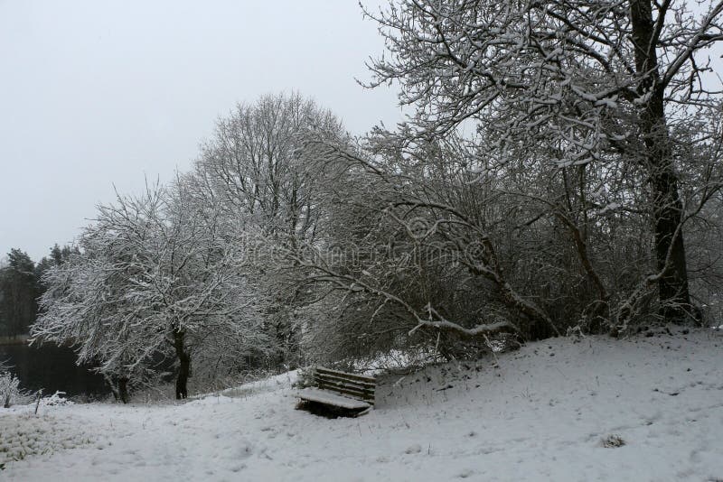 Bosque nevado en el pueblo foto de archivo. Imagen de nuevo - 132771020