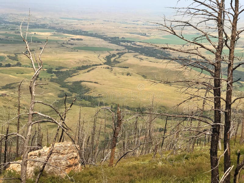 Bosque quemado imagen de archivo. Imagen de quemado - 123759241