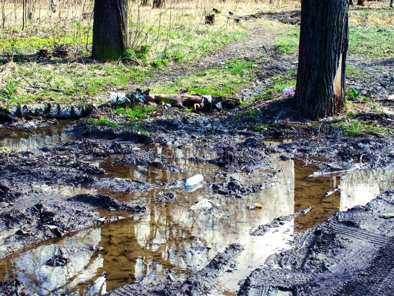 Camino Infranqueable Del Bosque Sucio En El Deshielo De La Primavera ...