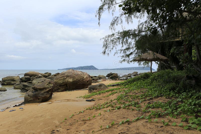Bosque Tropical En La Isla De Koh Rong Imagen de archivo - Imagen de ...
