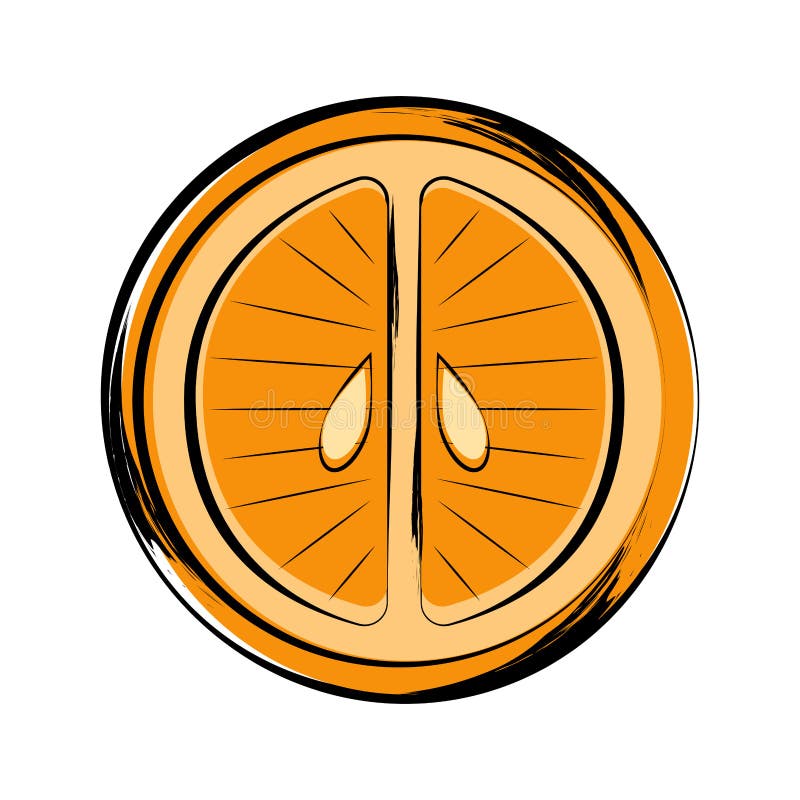 Dibujo De Un Corte De Naranja Ilustración del Vector - Ilustración de ...