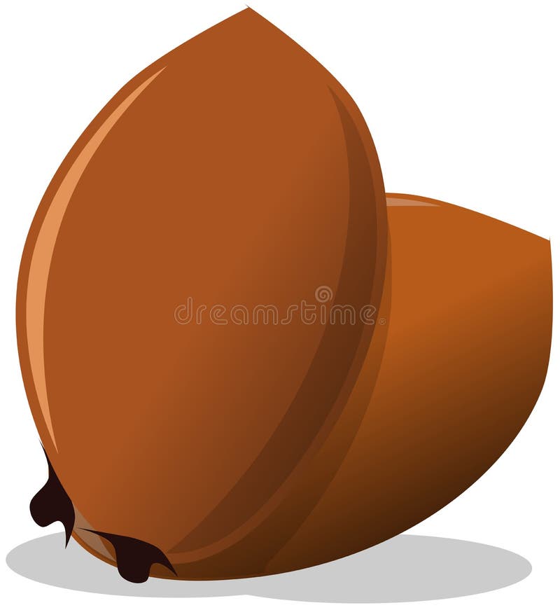 Zapote Ilustraciones Stock, Vectores, Y Clipart – (159 Ilustraciones Stock)