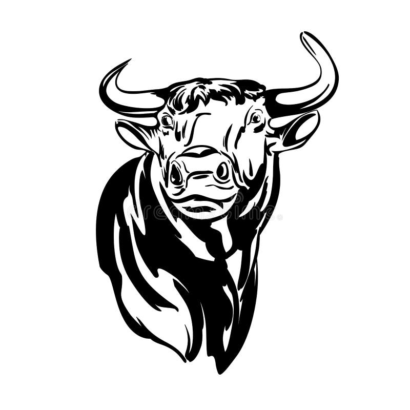 Bosquejo Realista Del Llustration Del Vector De Bull Ilustración del ...