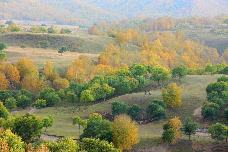 225,382 Bosques Contaminados Fotos de stock - Fotos libres de regalías ...