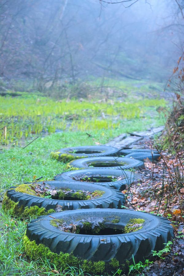 Bosques contaminados - imagen de archivo. Imagen de contaminado - 56558171