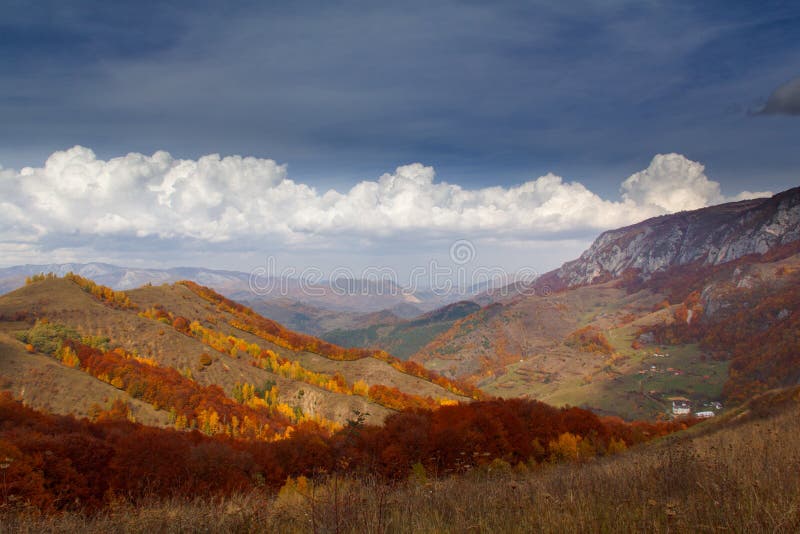 Bosques rojos imagen de archivo. Imagen de paisaje, andrés - 34441183