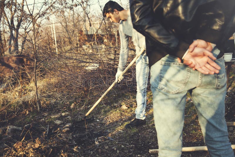 Boss with worker in garden stock image. Image of agriculture - 142718877