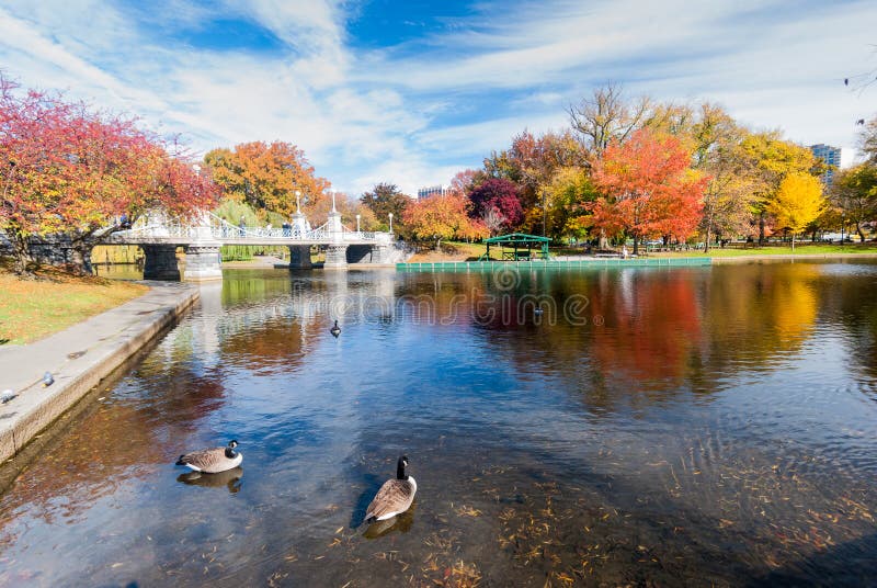 Boston Public Garden, Boston, Massachusetts Stock Image - Image of ...