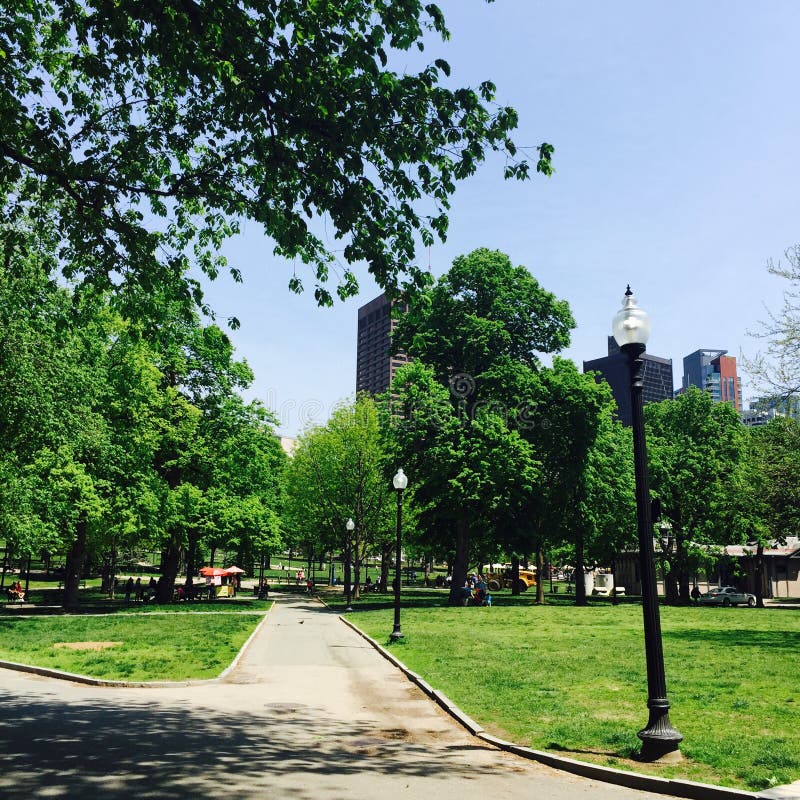 Boston Common park stock image. Image of central, centre - 93419043
