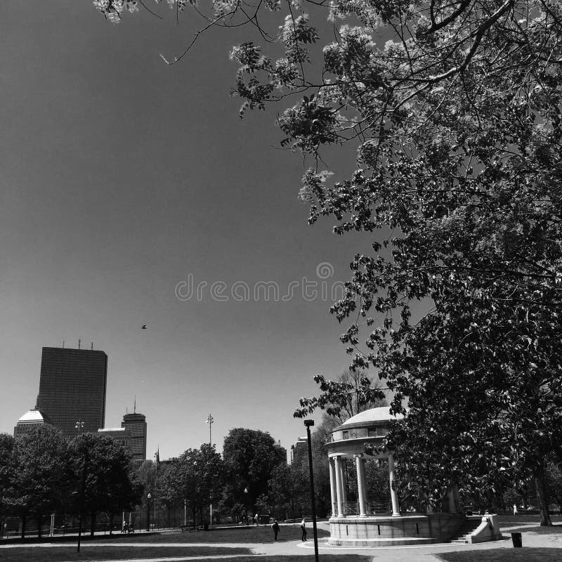 Boston Common and Parkman Bandstand Editorial Photo - Image of united ...