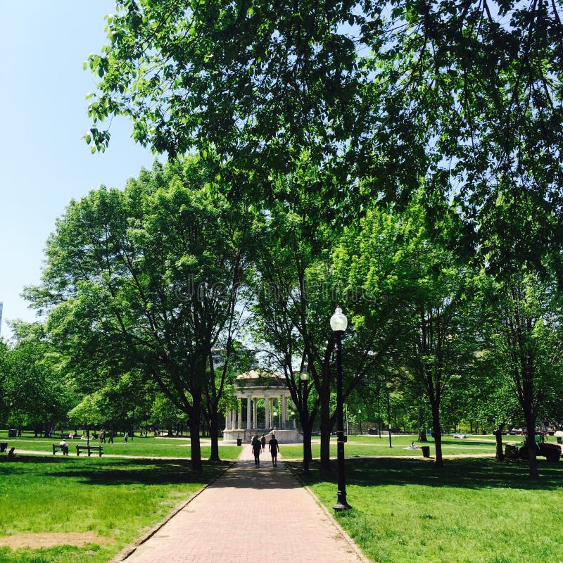 Boston Common editorial photography. Image of tree, grass - 92613782