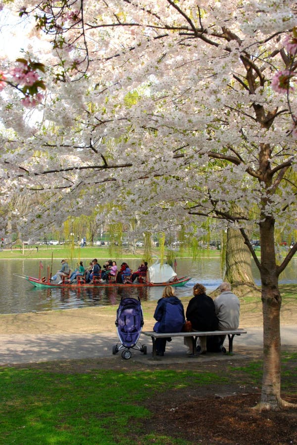 Boston Common and Public Garden, USA Editorial Stock Image - Image of ...