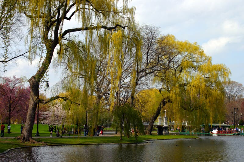 Boston Common and Public Garden, USA Stock Photo - Image of holiday ...