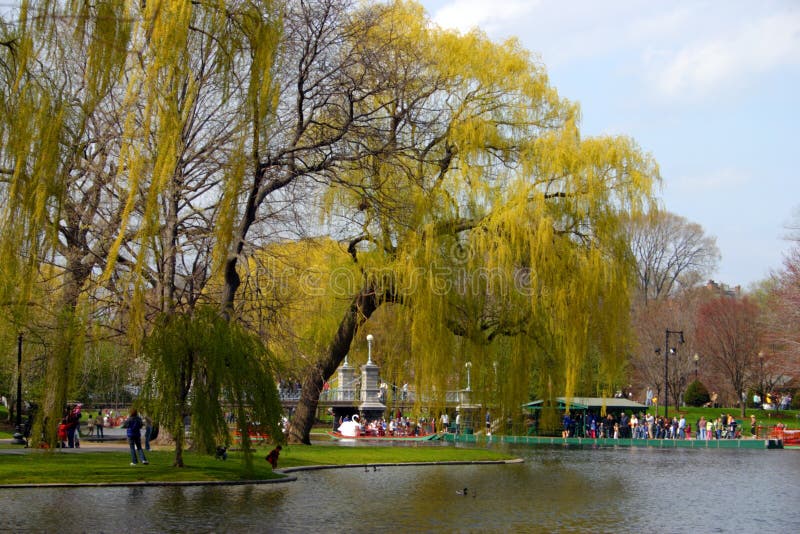 Boston Common and Public Garden, USA Editorial Photo - Image of england ...