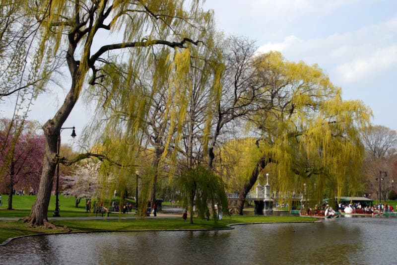 Boston Common and Public Garden, USA Stock Image - Image of blossom ...