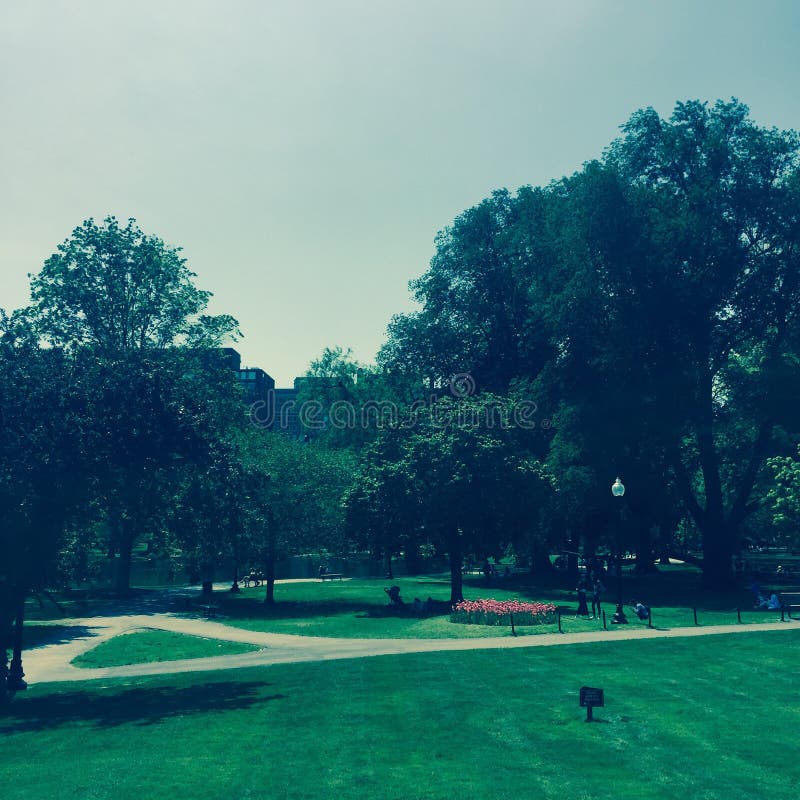 Boston Common editorial stock photo. Image of park, fields - 92613768