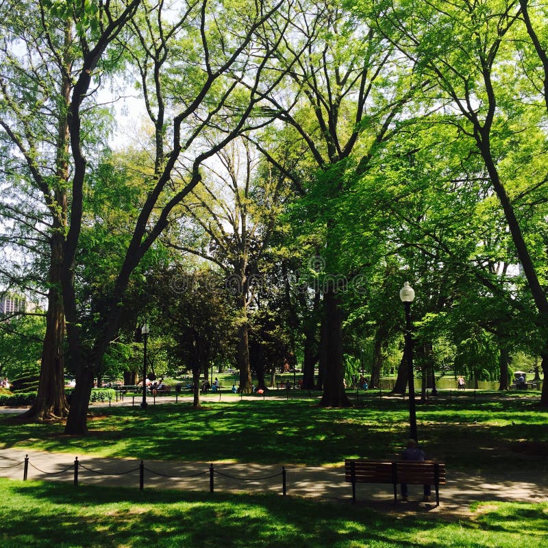 Boston common editorial photography. Image of season - 92620197