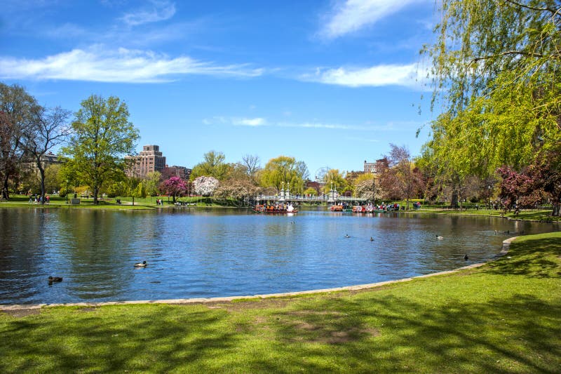 Boston Common stock image. Image of swan, garden, common - 57419253