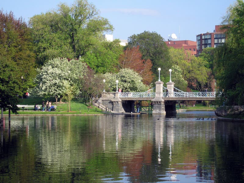 Cape Cod Beach Dune And Snow Fence Stock Photo - Image of dune, chatham ...
