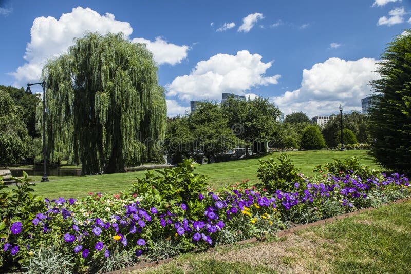 Boston Public Garden stock image. Image of garden, water - 35021161